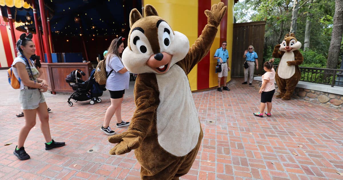 Meet Chip and Dale at Disney World – Resorts Gal