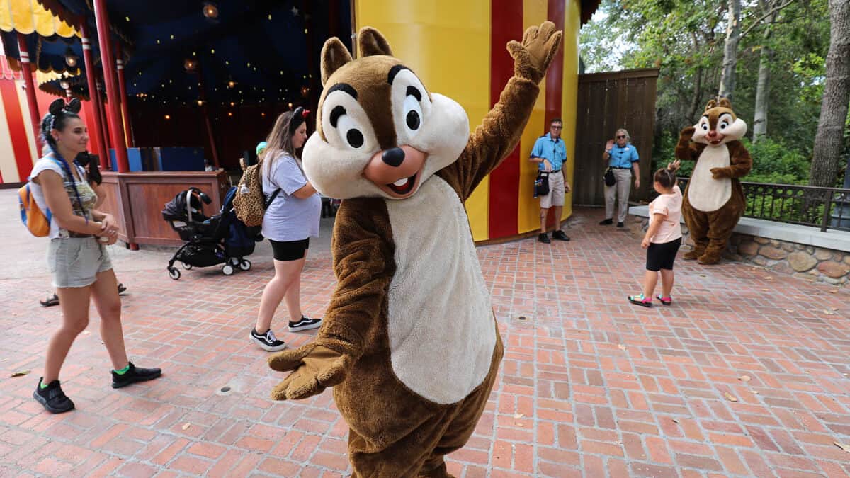 Chip And Dale Signature
