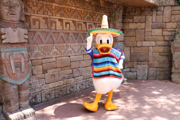 Meet Donald Duck in Epcot's Mexico Pavilion | EPCOT