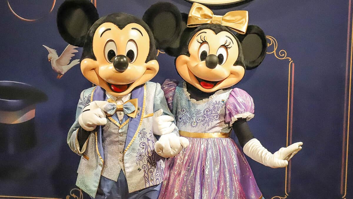 Mickey And Minnie Disney World