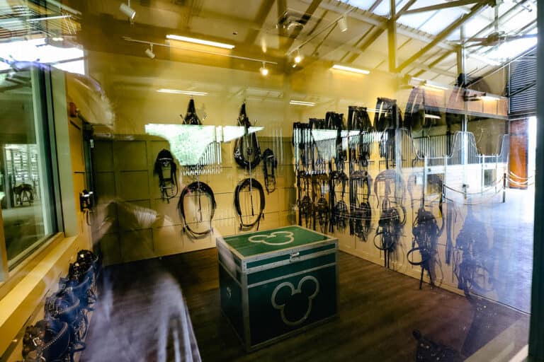 A Visit to Tri-Circle-D Ranch at Disney's Fort Wilderness