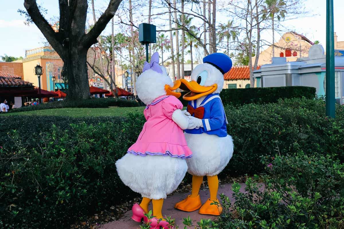 Meet Donald and Daisy Duck at Disney World