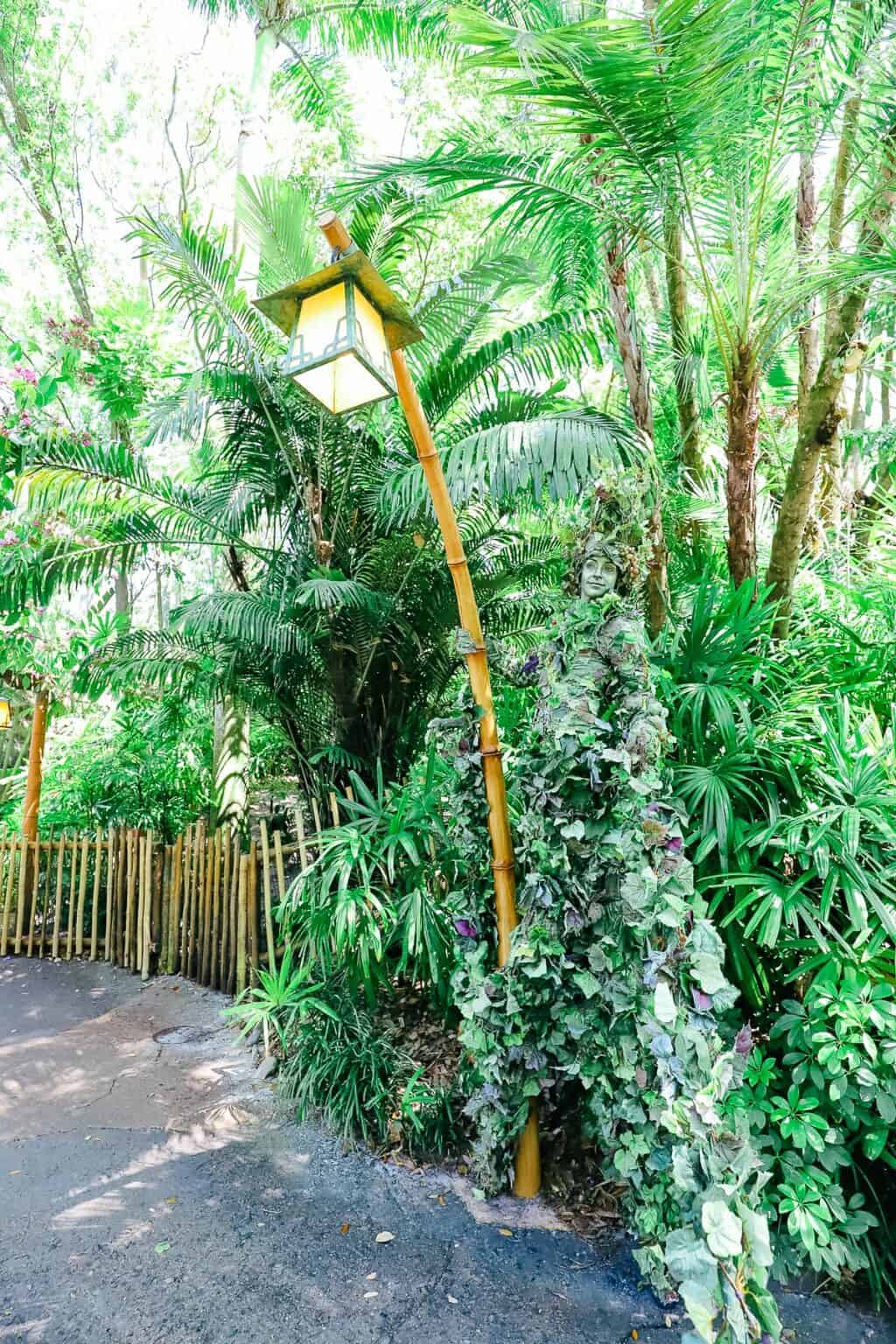 How to Find DiVine at Disney's Animal Kingdom