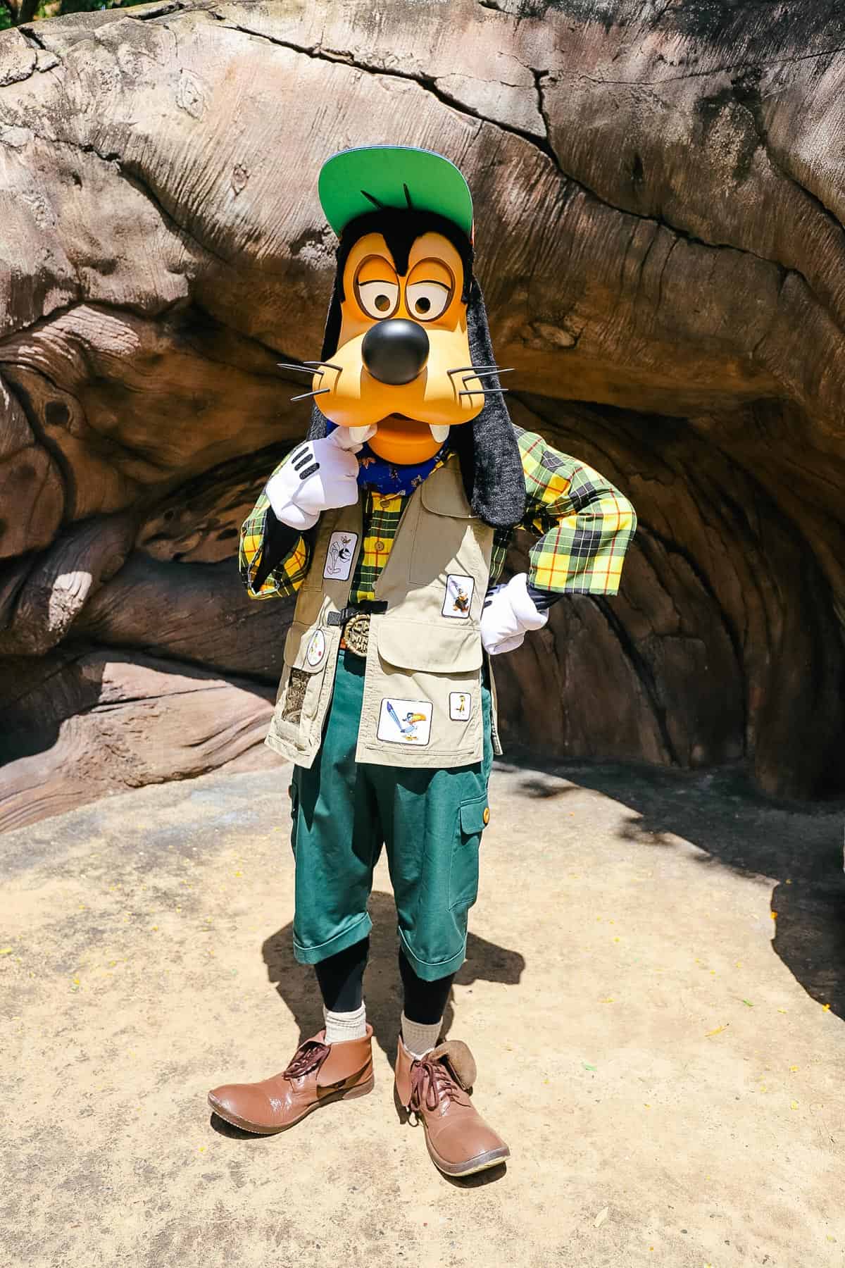 Goofy Visits Disney's Animal Kingdom (Former Camp Minnie-Mickey Attire)