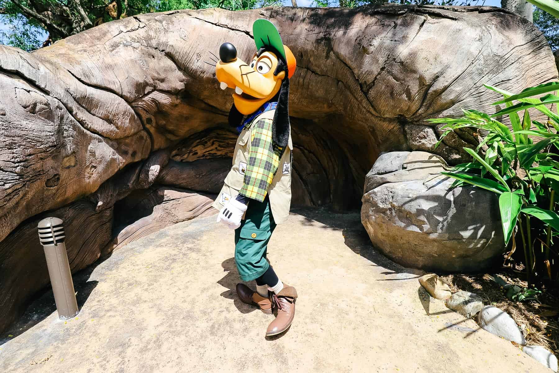 Goofy Visits Disney's Animal Kingdom (Former Camp Minnie-Mickey Attire)