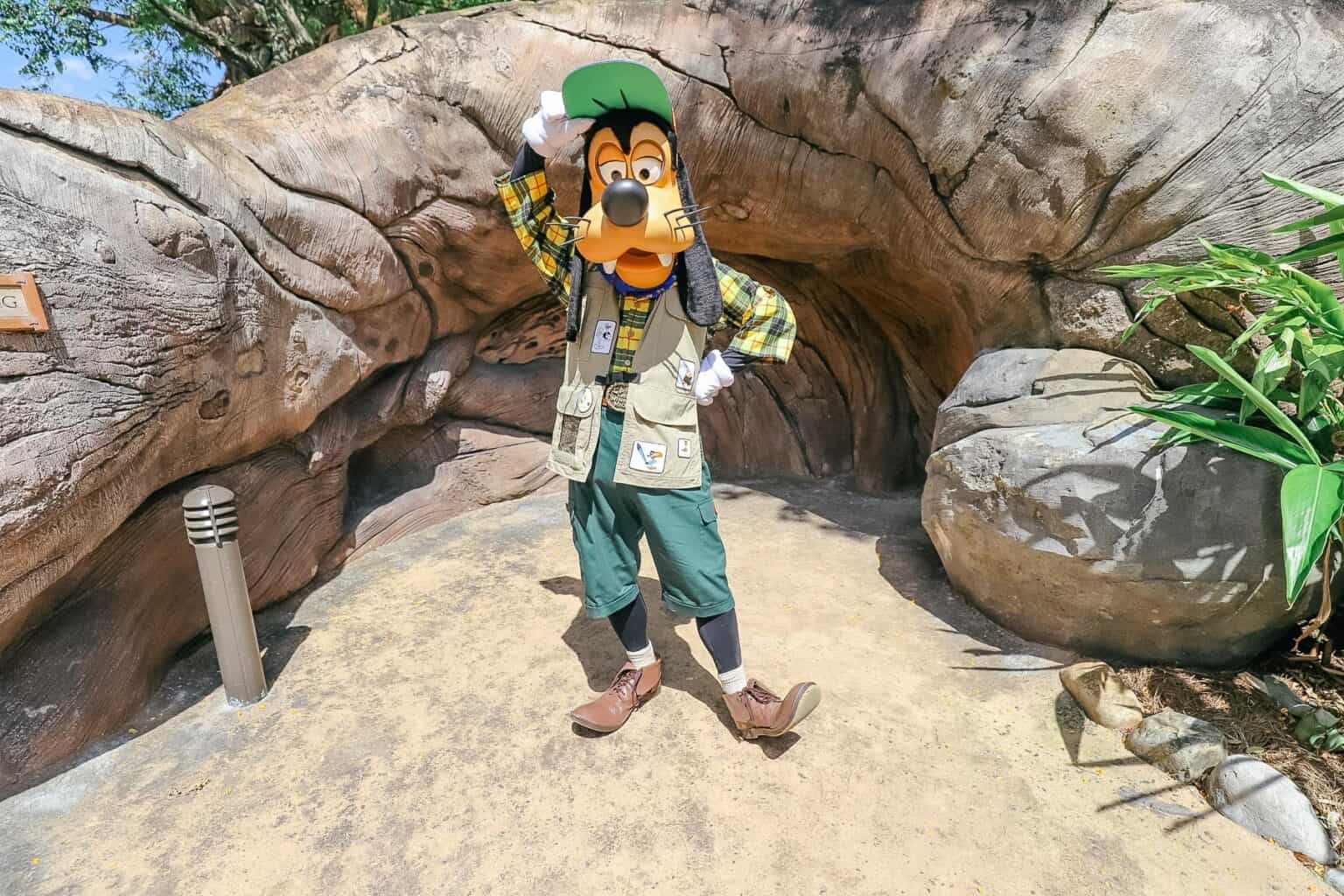 Goofy Visits Disney's Animal Kingdom (Former Camp Minnie-Mickey Attire)