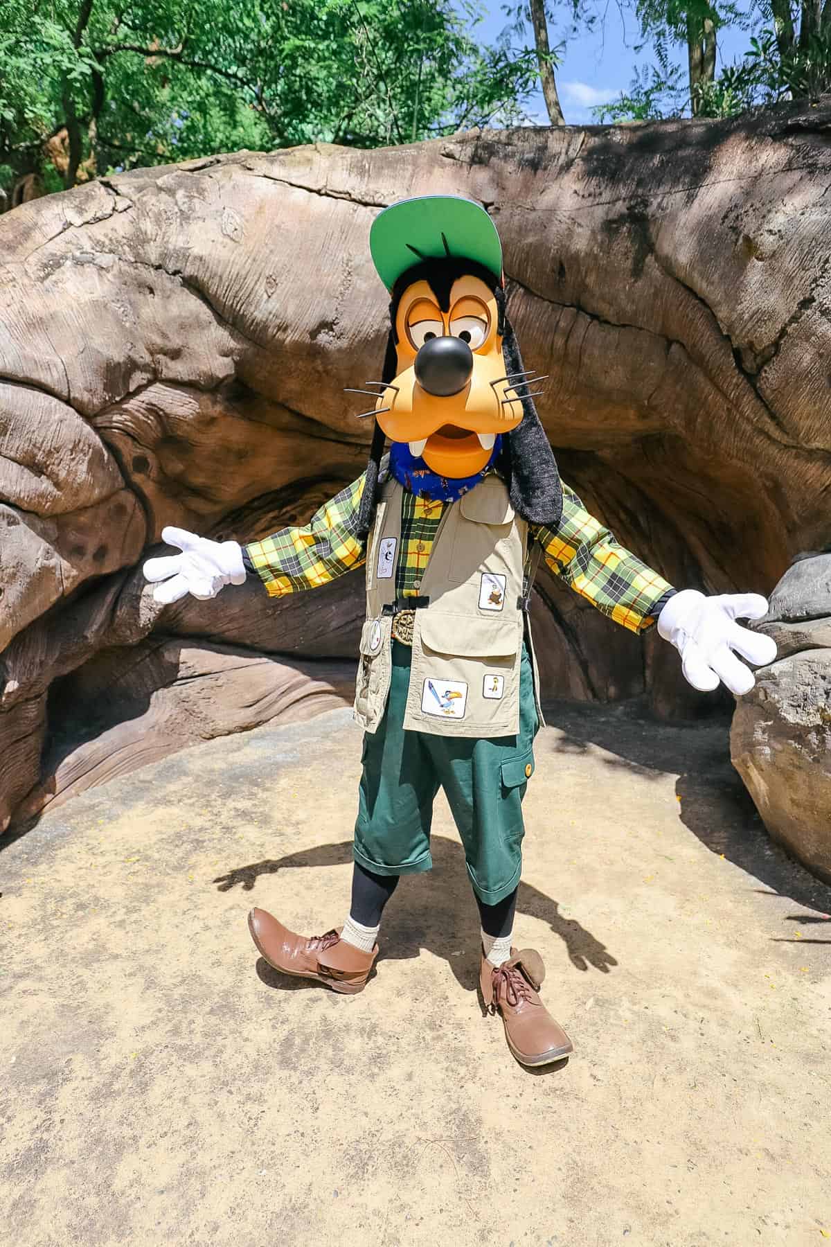 Goofy Visits Disney's Animal Kingdom (Former Camp Minnie-Mickey Attire)