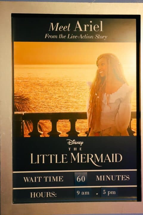 Meet Ariel from the Live-Action 'The Little Mermaid' at Hollywood ...