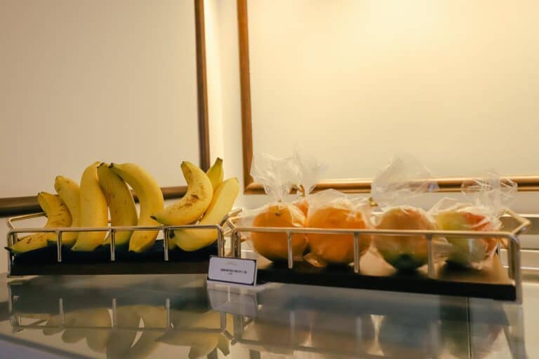 Primo Piatto Review (A Mostly Upscale Quick Service Restaurant)