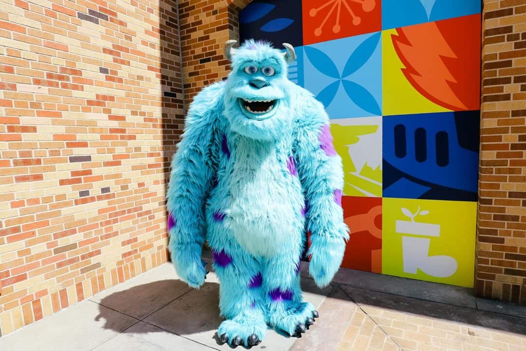 Meet Sulley from Monsters, Inc. at Disney World