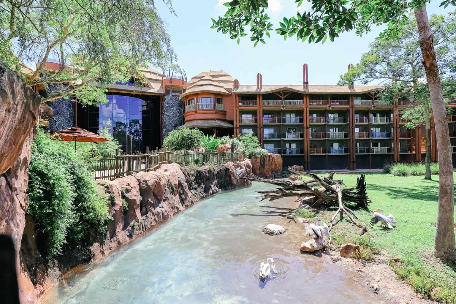 Disney's Animal Kingdom Lodge Review (2021) - Resorts Gal