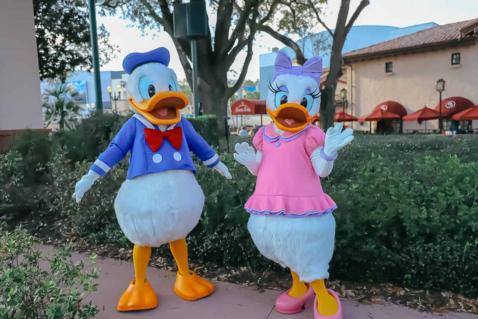 Meet Donald and Daisy Duck at Disney World (Every Location)