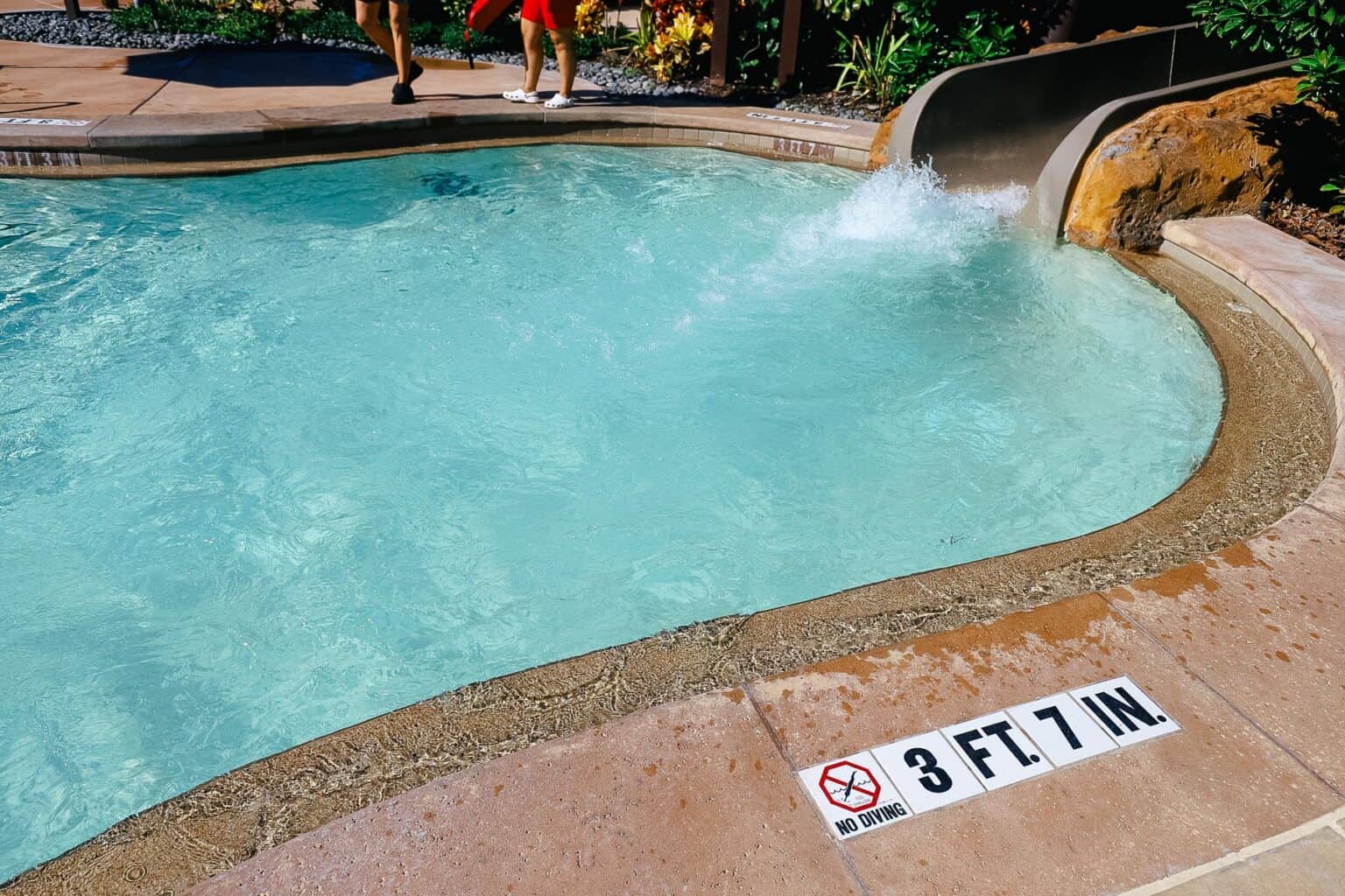 Disney's Polynesian Village Resort Pool Guide (Photos and Amenities)