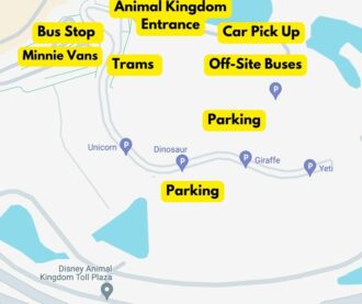 Disney's Animal Kingdom Transportation Map, Locations, and Options