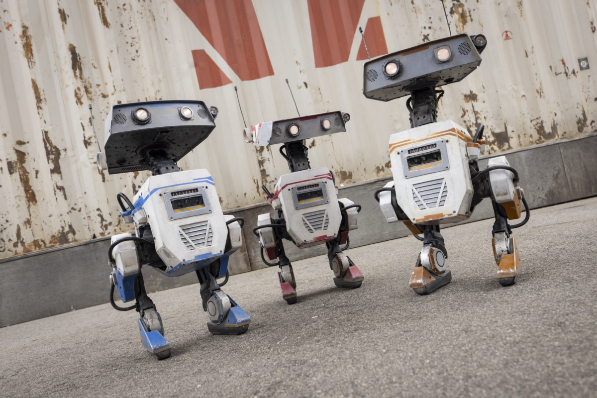 Limited Time Offering: BDX Droids Now Appearing at Walt Disney World