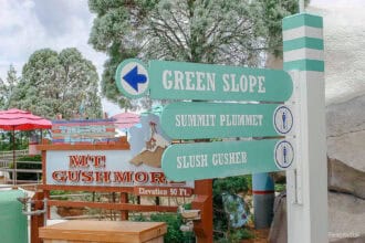 Summit Plummet at Disney's Blizzard Beach (A 12-Story Freefall Water ...
