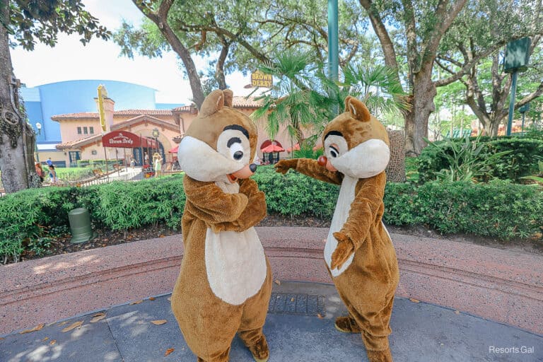 Here's How to Find Chip and Dale at Disney's Hollywood Studios (Near ...