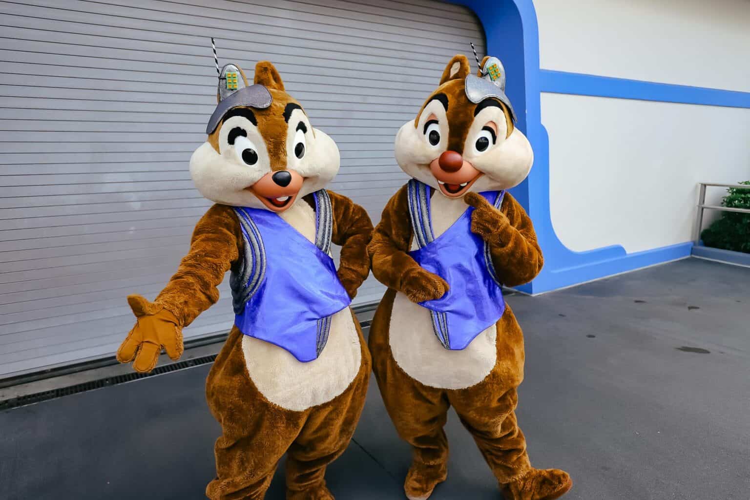 Meet Chip 'n' Dale at Walt Disney World (Every Location with Photos)