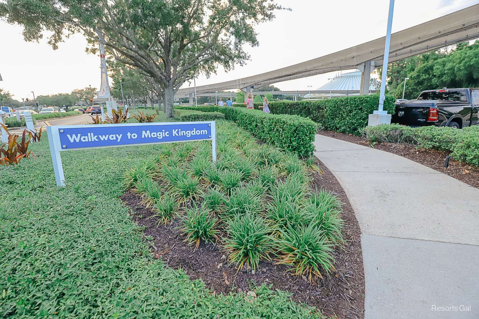 Magic Kingdom Transportation Map, Locations, and Options