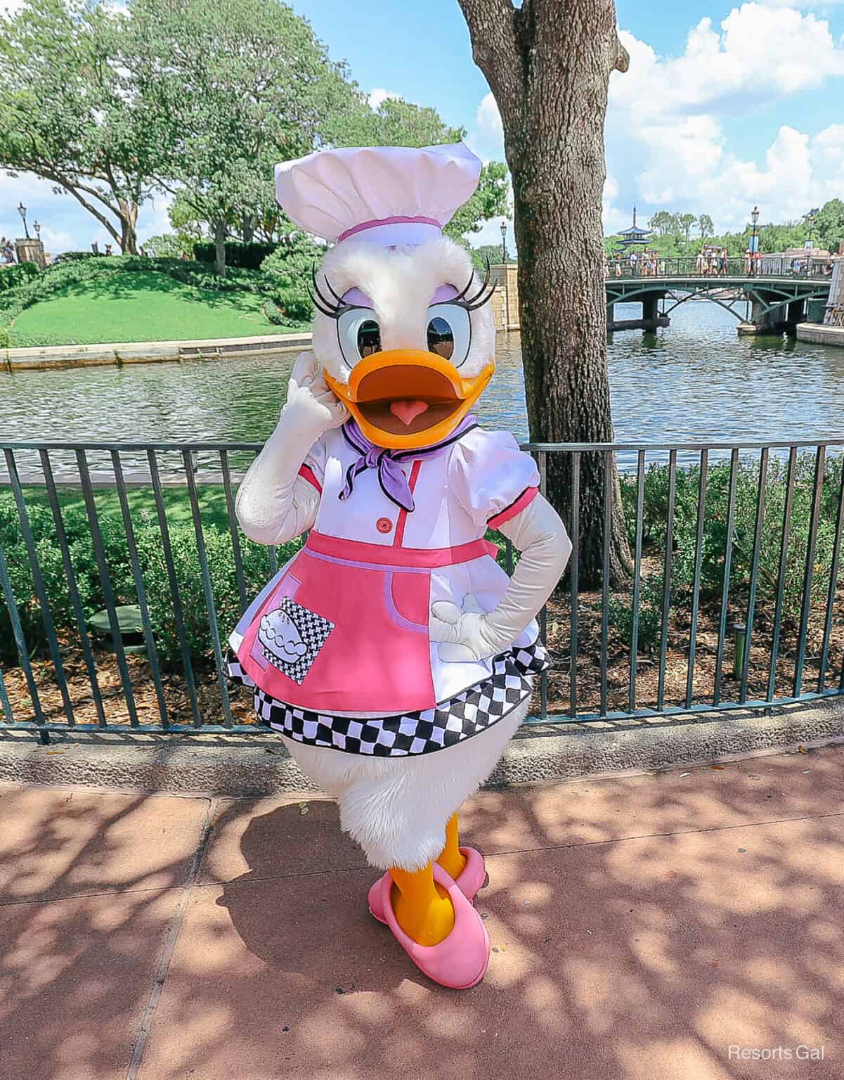 Don't Miss Daisy in Her Chef's Outfit During Epcot's Food and Wine Festival