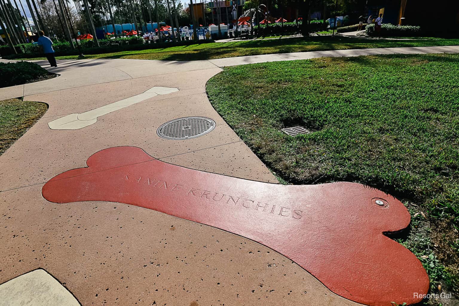 Disney's All-Star Movies Transportation Map (With Destinations)