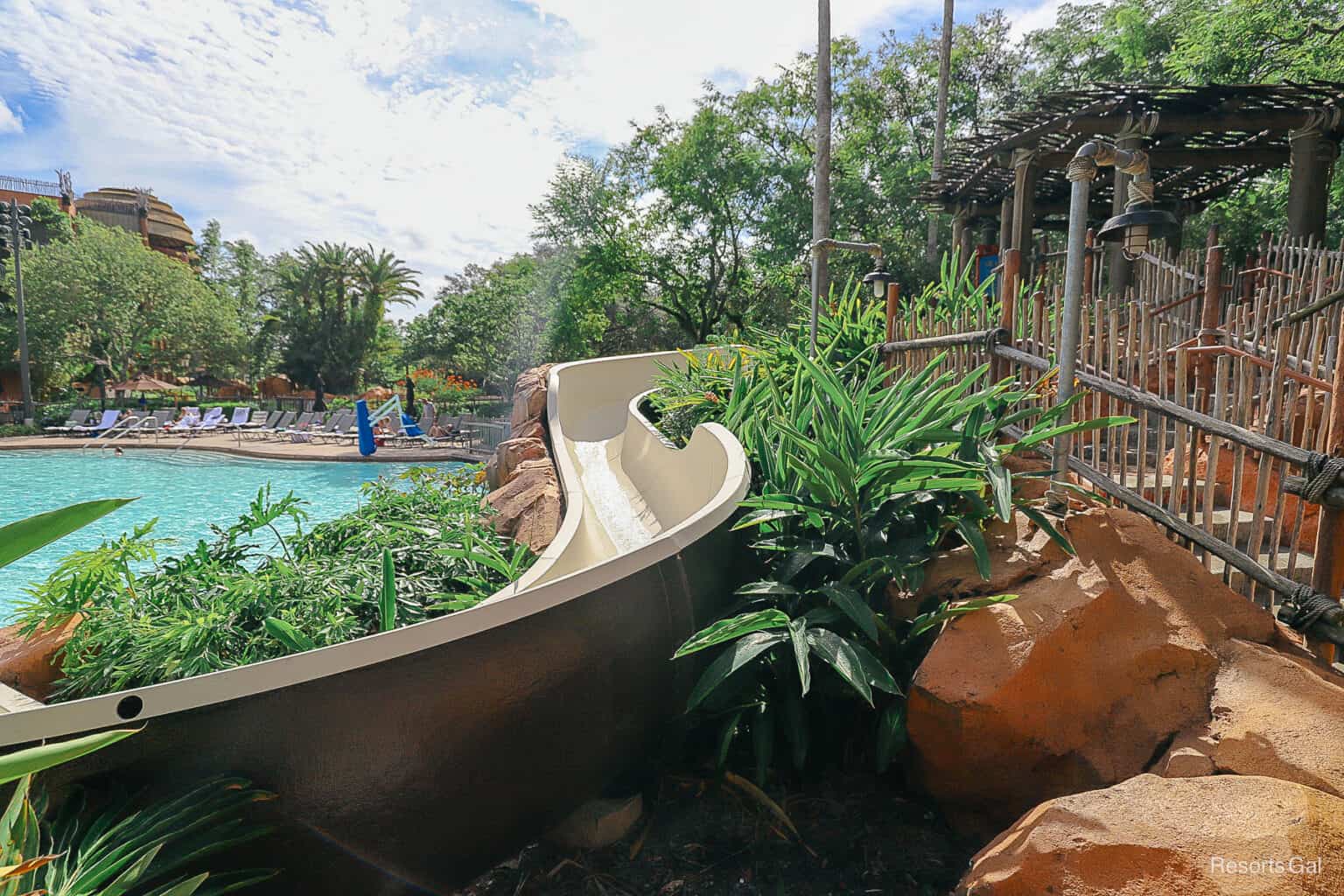 Disney's Animal Kingdom Lodge Pool Guide (Photos and Amenities)