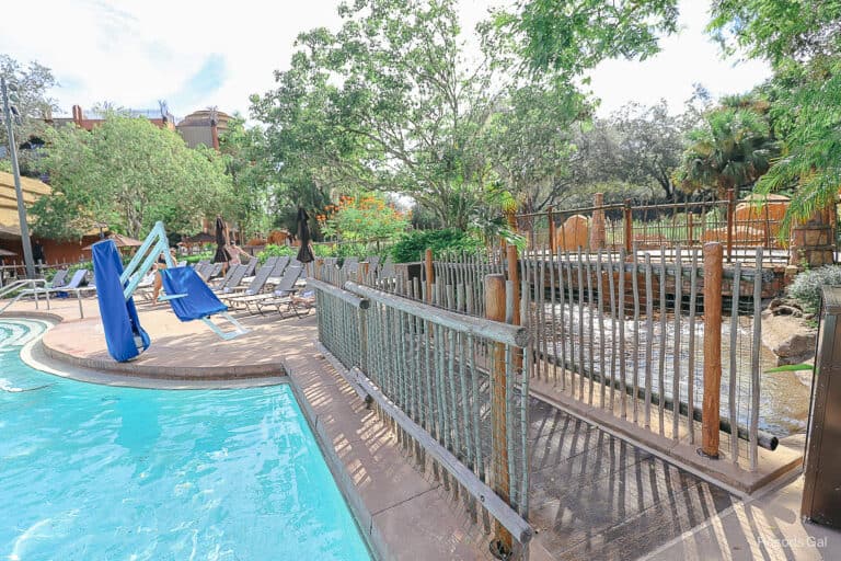 Disney's Animal Kingdom Lodge Pool Guide (Photos and Amenities)