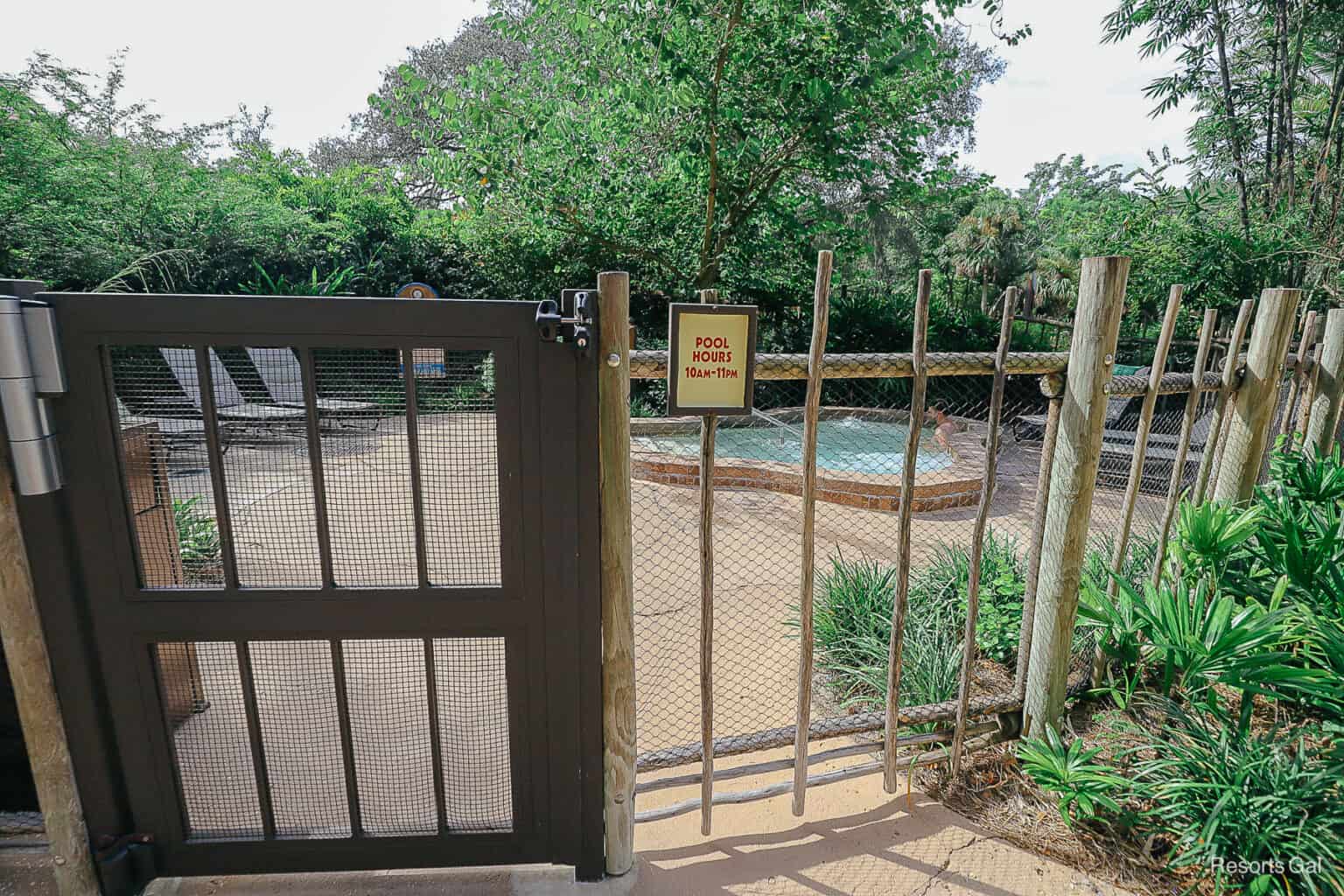 Disney's Animal Kingdom Lodge Pool Guide (Photos and Amenities)