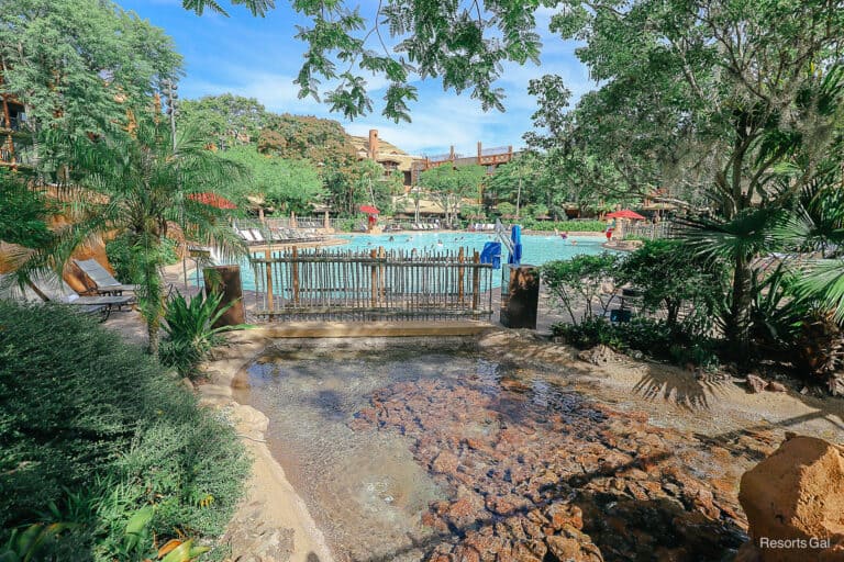 Disney's Animal Kingdom Lodge Pool Guide (Photos and Amenities)