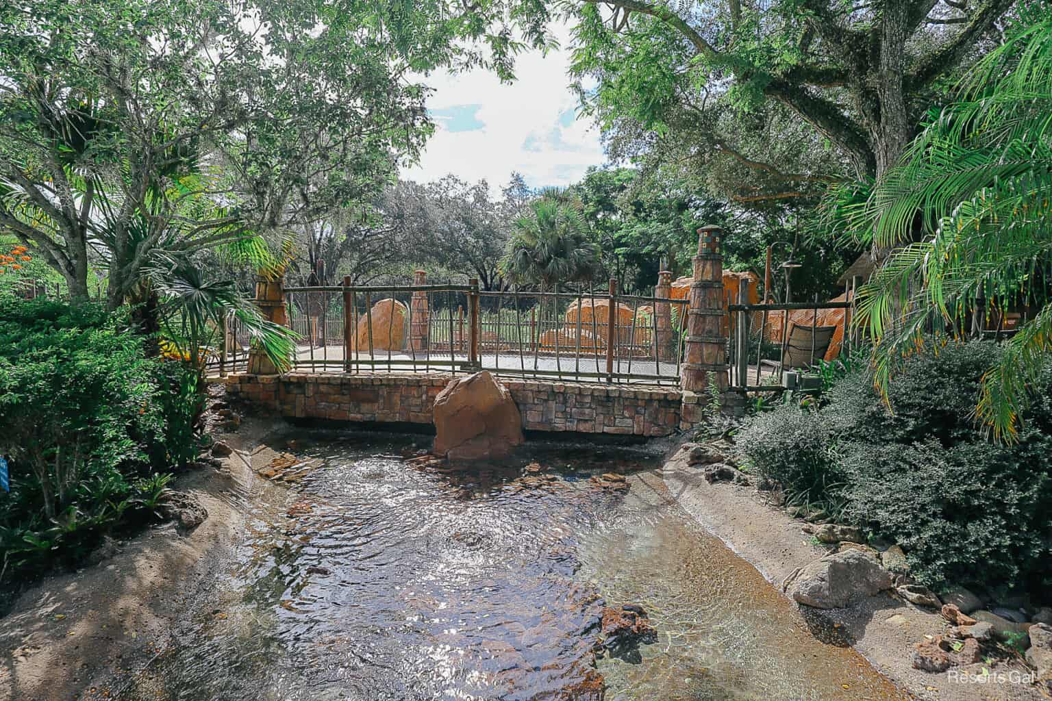 Disney's Animal Kingdom Lodge Pool Guide (Photos and Amenities)