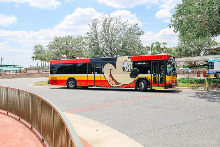 Disney’s Complimentary Bus Transportation (Everything You Need to Know ...