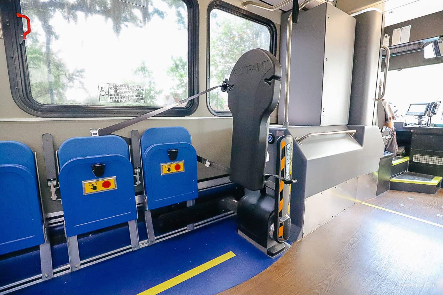 Disney’s Complimentary Bus Transportation (Everything You Need to Know ...
