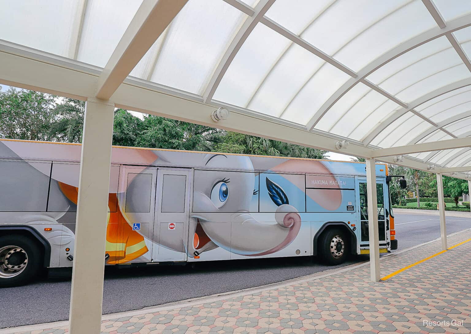 Disney’s Complimentary Bus Transportation (Everything You Need to Know ...