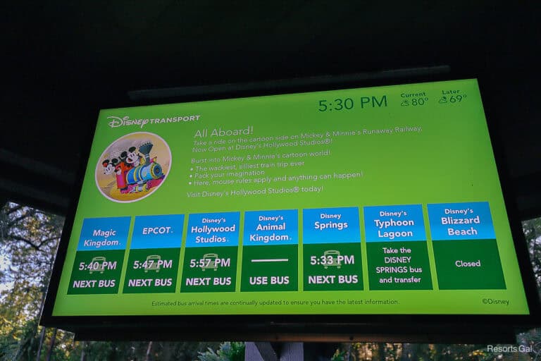 Disney’s Complimentary Bus Transportation (Everything You Need to Know ...