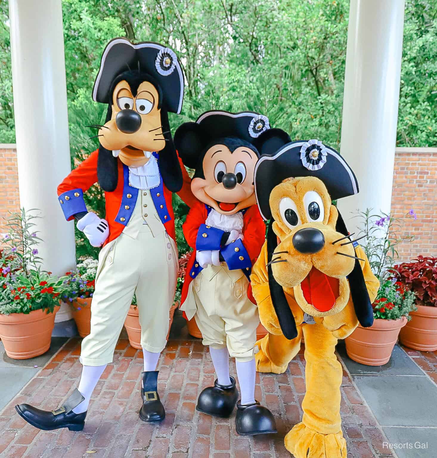 Character Spotlight: Pluto at Walt Disney World | Resorts Gal