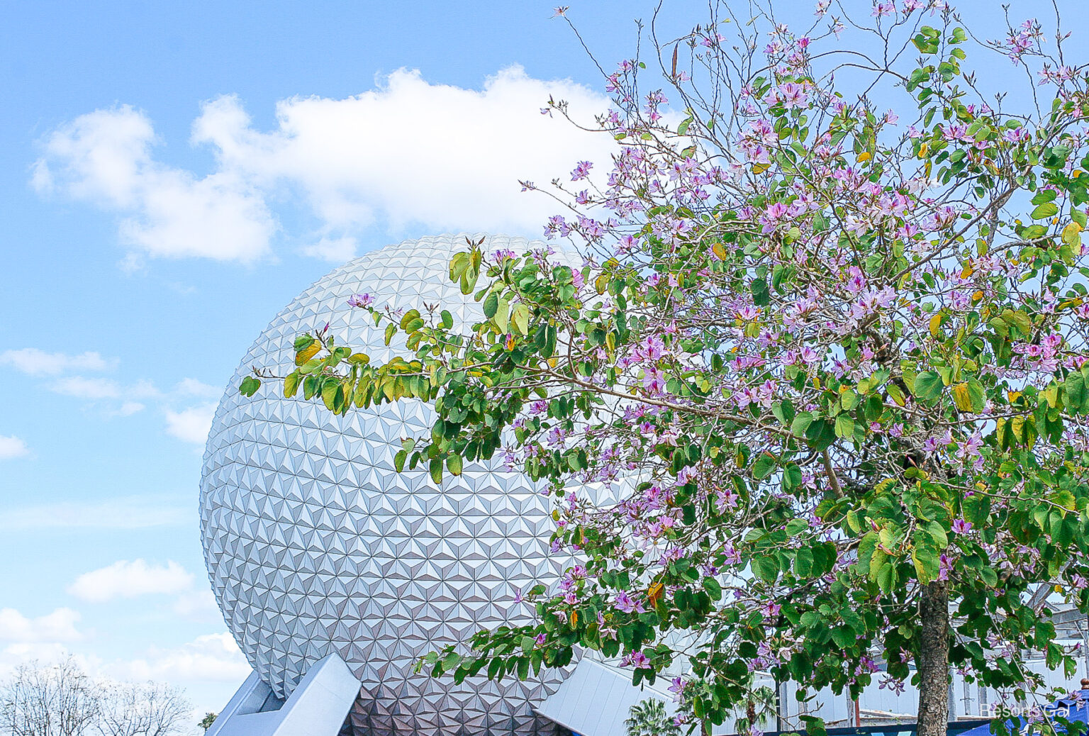 Disney World in April 2026 (Dates, Weather, and Crowds)