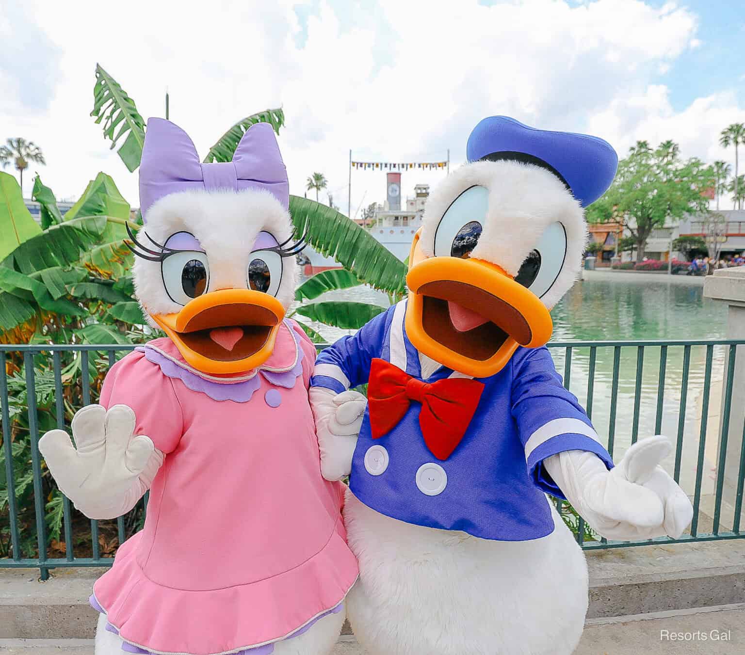 Meet Donald and Daisy Duck at Disney's Hollywood Studios