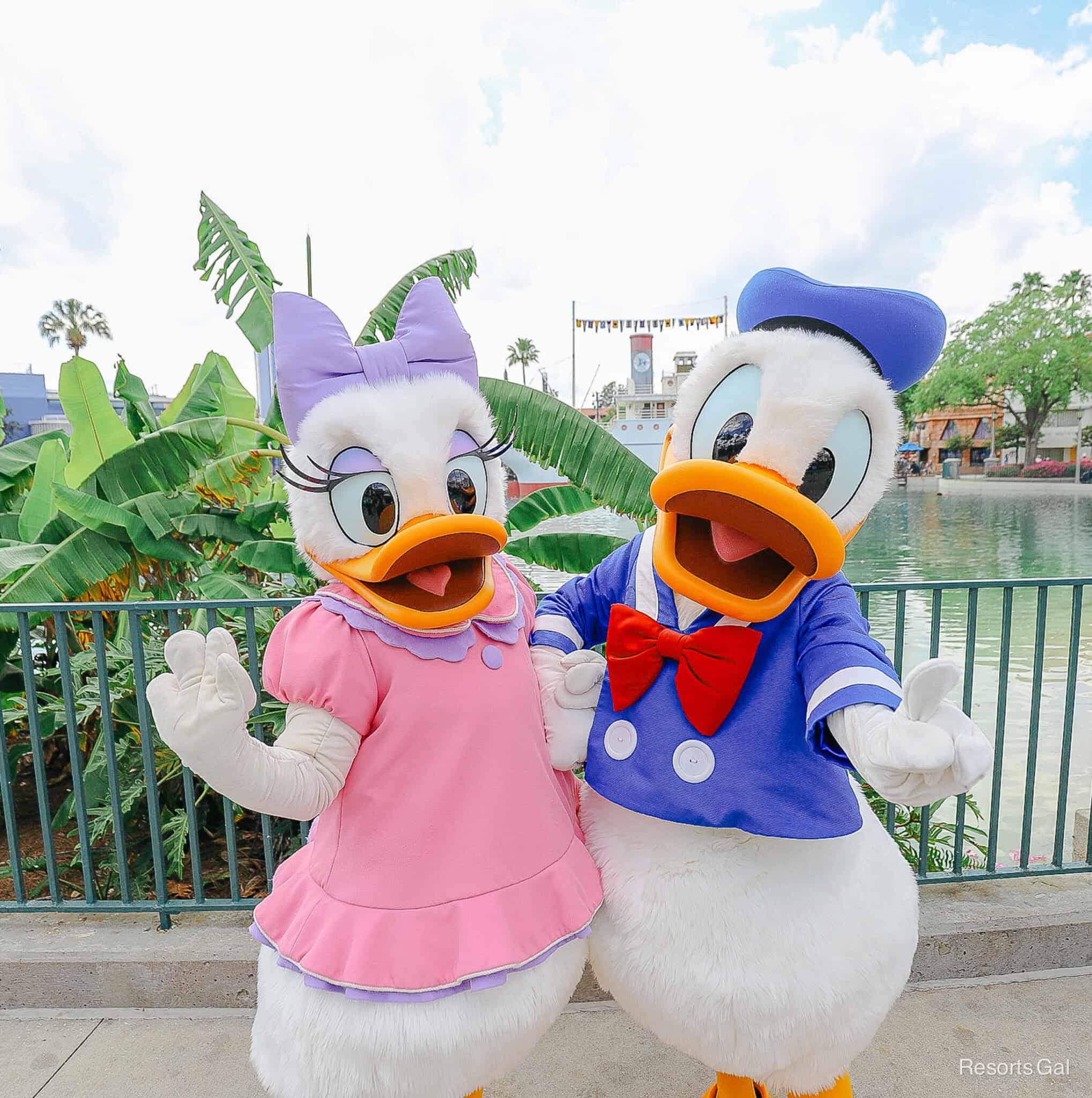 Meet Donald and Daisy Duck at Disney World (Every Location)