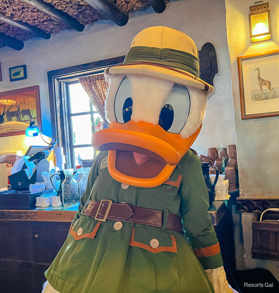 Where to Find Donald Duck at Walt Disney World (Every Location)