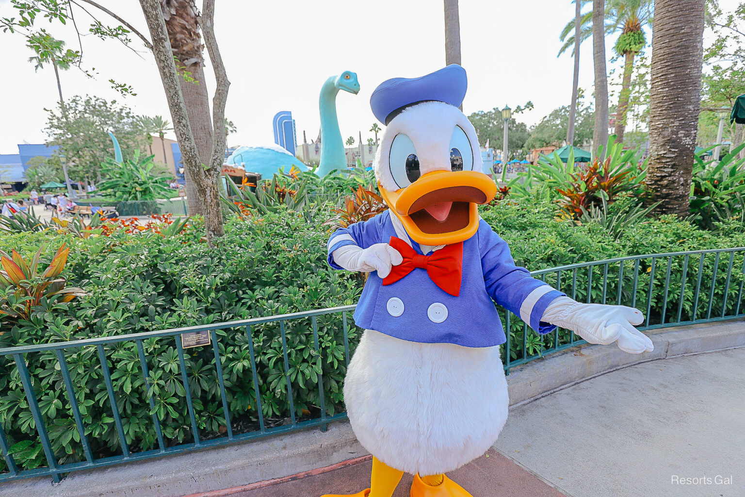 Character Spotlight: Donald Duck at Walt Disney World - Resorts Gal