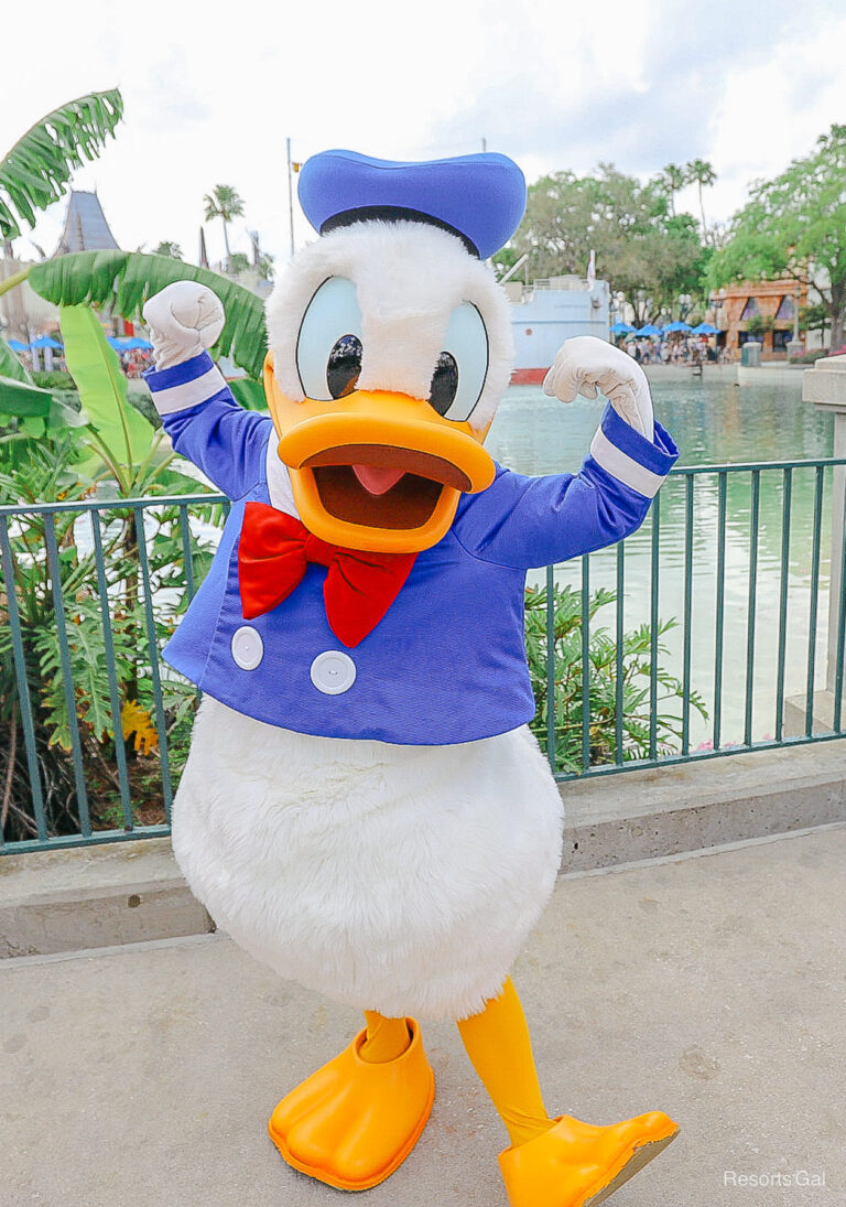 Character Spotlight: Donald Duck at Walt Disney World - Resorts Gal
