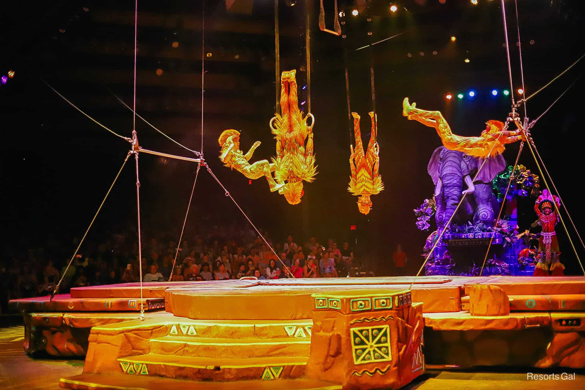 Festival of the Lion King at Disney's Animal Kingdom (An Attraction ...