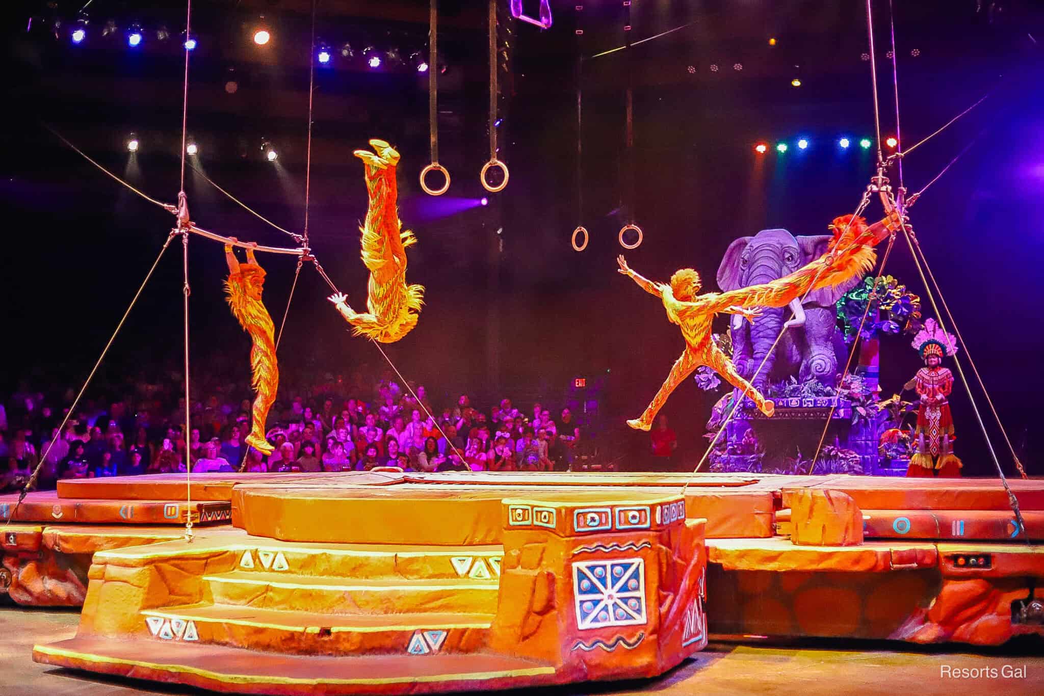 Festival of the Lion King at Disney's Animal Kingdom (An Attraction ...