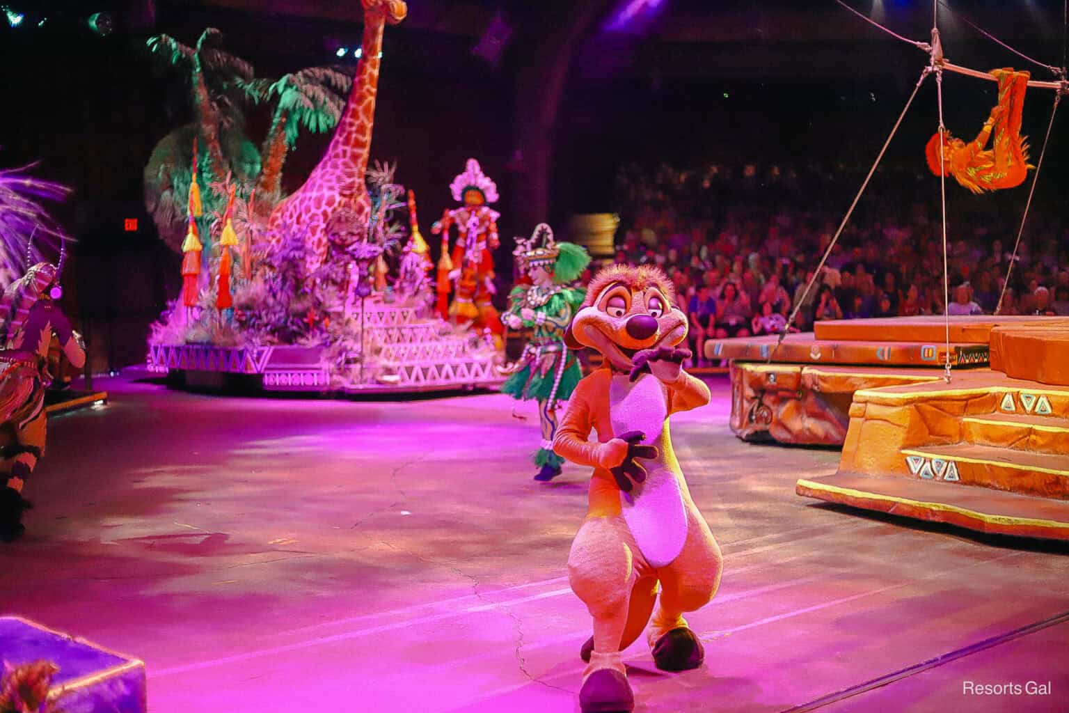 Festival of the Lion King at Disney's Animal Kingdom (An Attraction ...