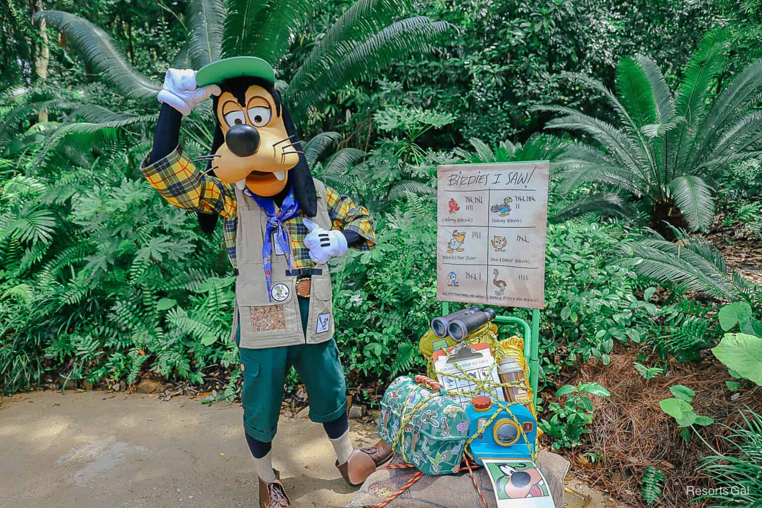 Meet Goofy in His Bird-Watching Costume at Disney's Animal Kingdom