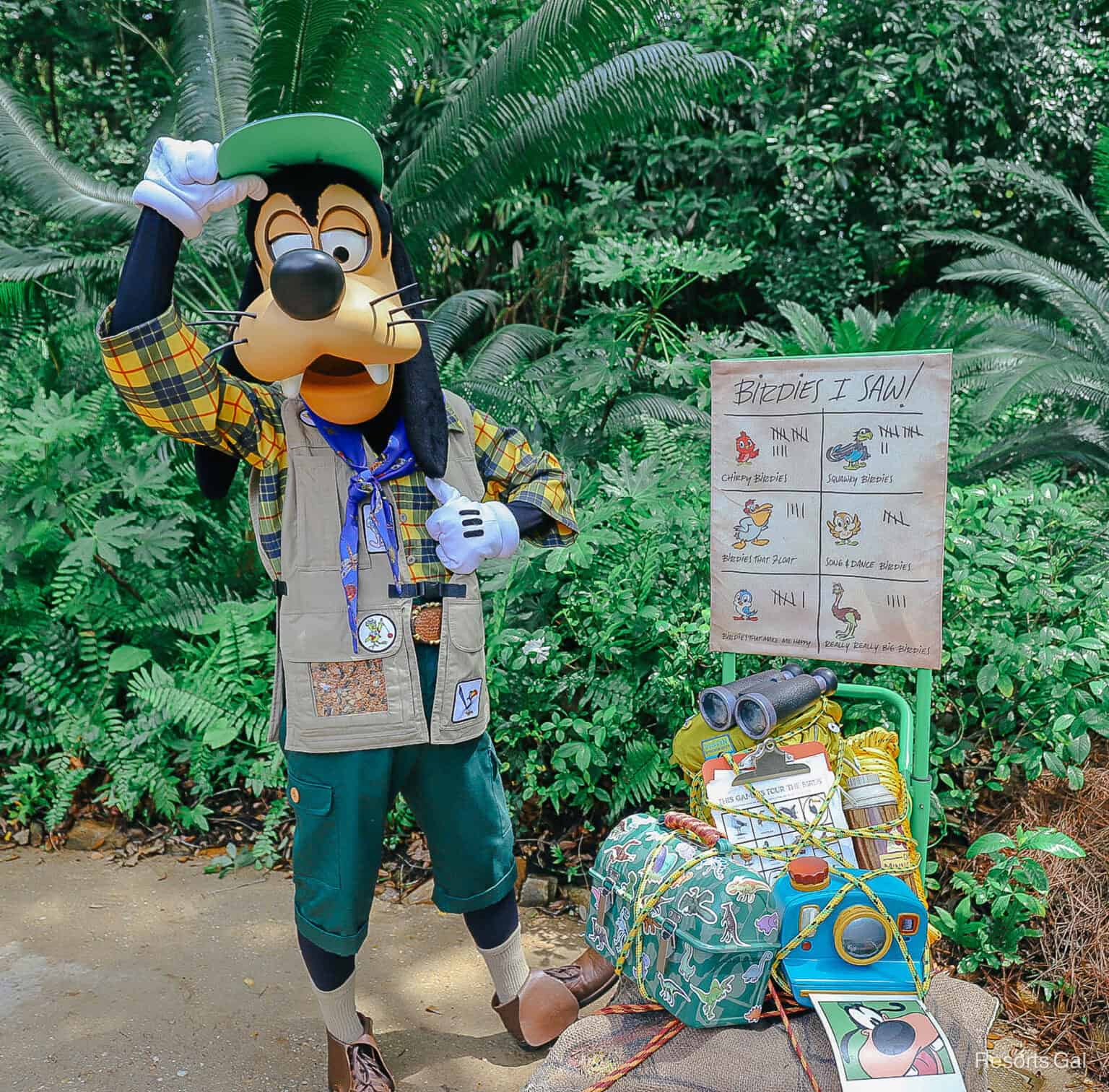 Meet Goofy in His Bird-Watching Costume Near Restaurantosaurus ...