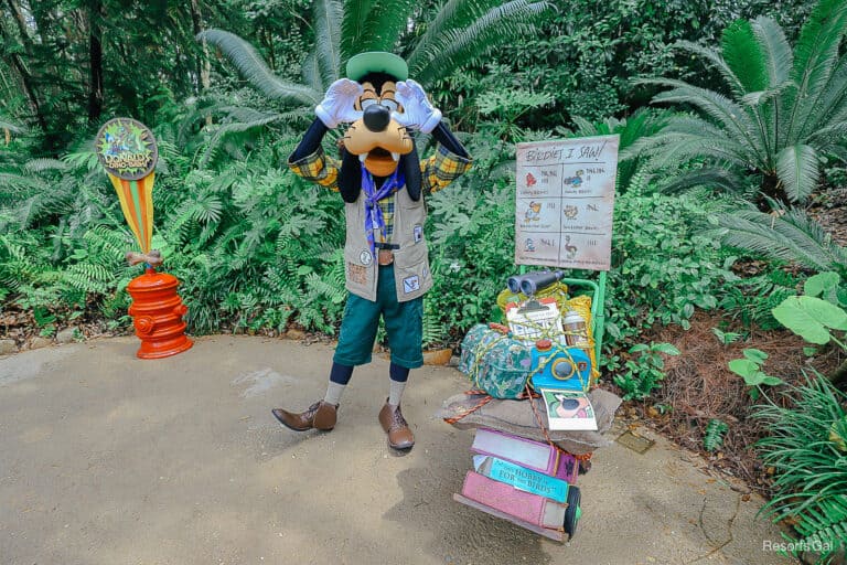 Meet Goofy in His Bird-Watching Costume at Disney's Animal Kingdom