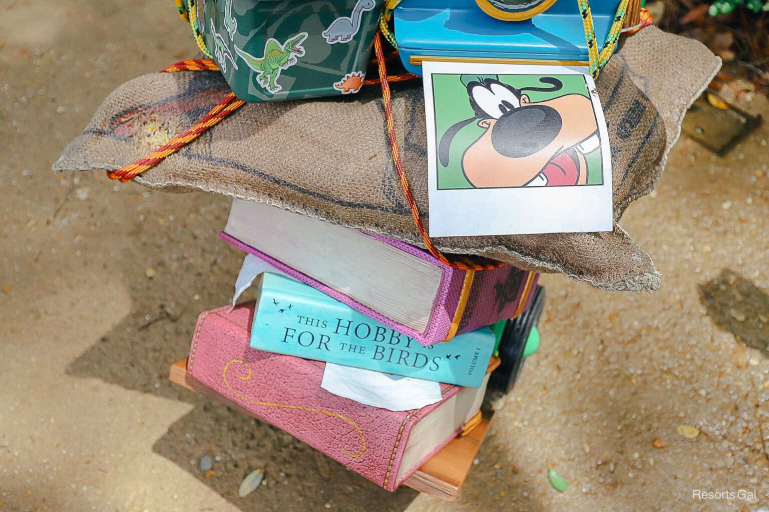 Meet Goofy in His Bird-Watching Costume at Disney's Animal Kingdom