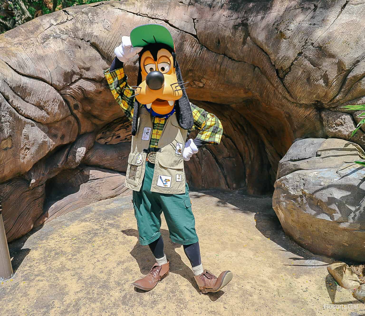 Where to Meet Goofy at Walt Disney World - Resorts Gal