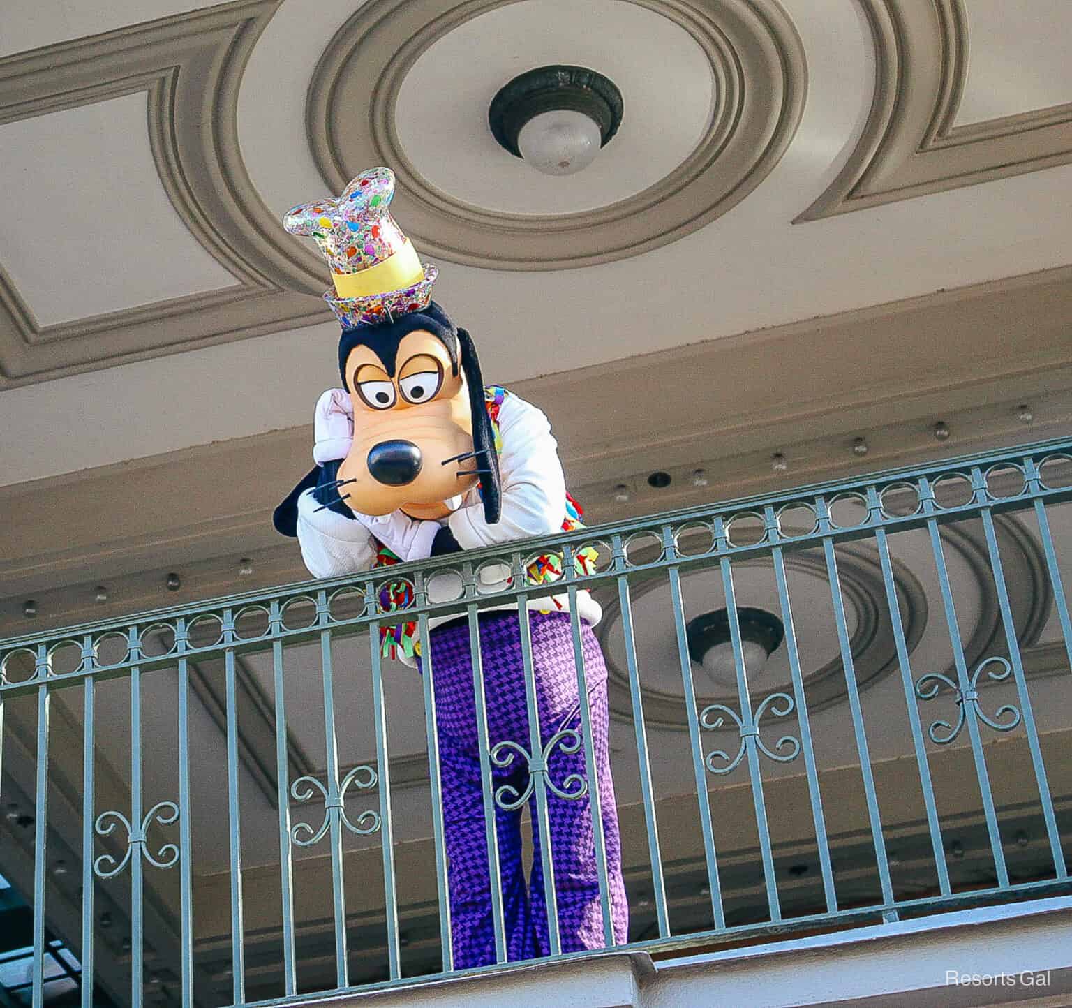 Where to Meet Goofy at Walt Disney World